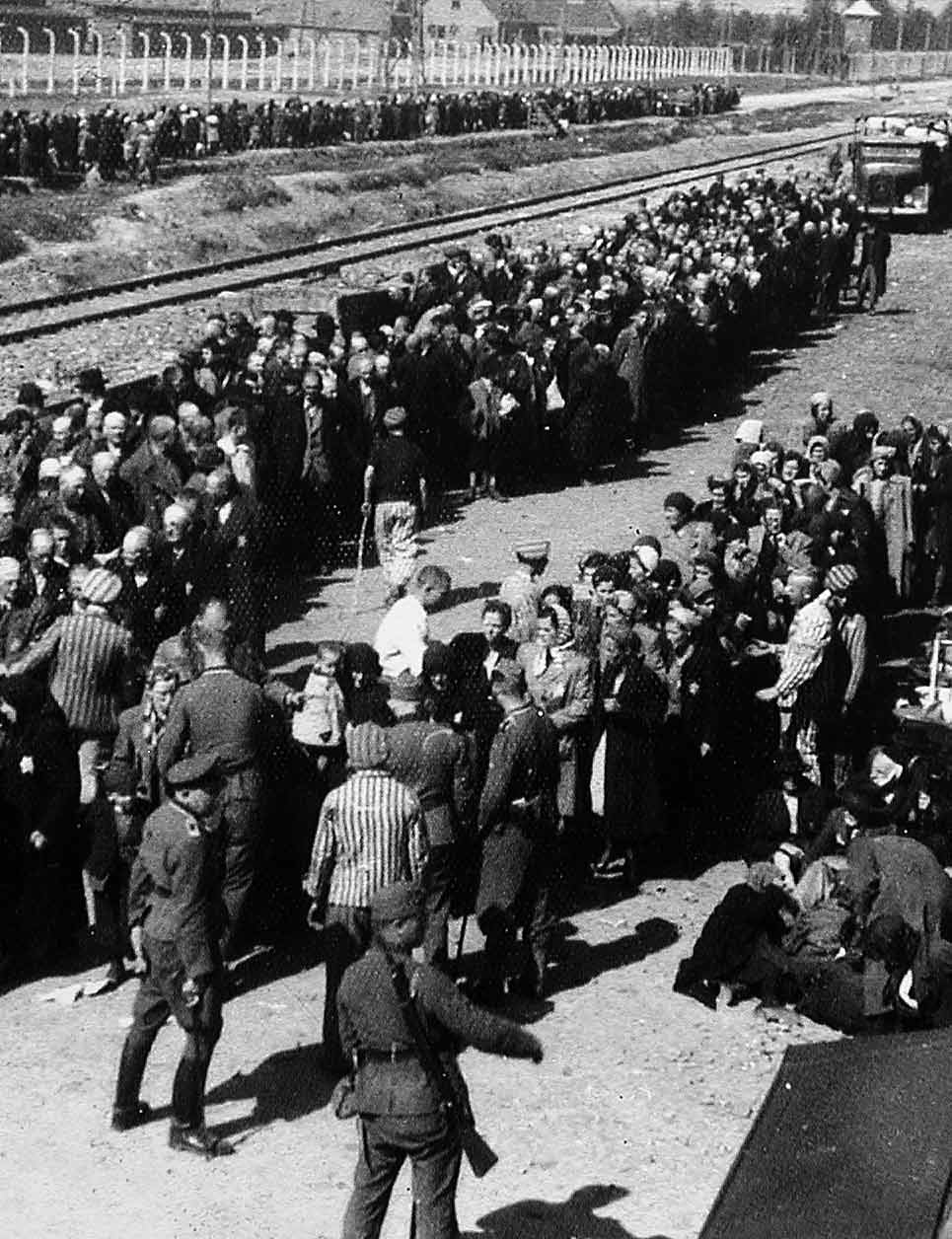 Auschwitz Birkenau Camp De Concentration Et Centre De Mise Mort Auschwitz Birkenau Camp De Concentration Et Centre De Mise Mort